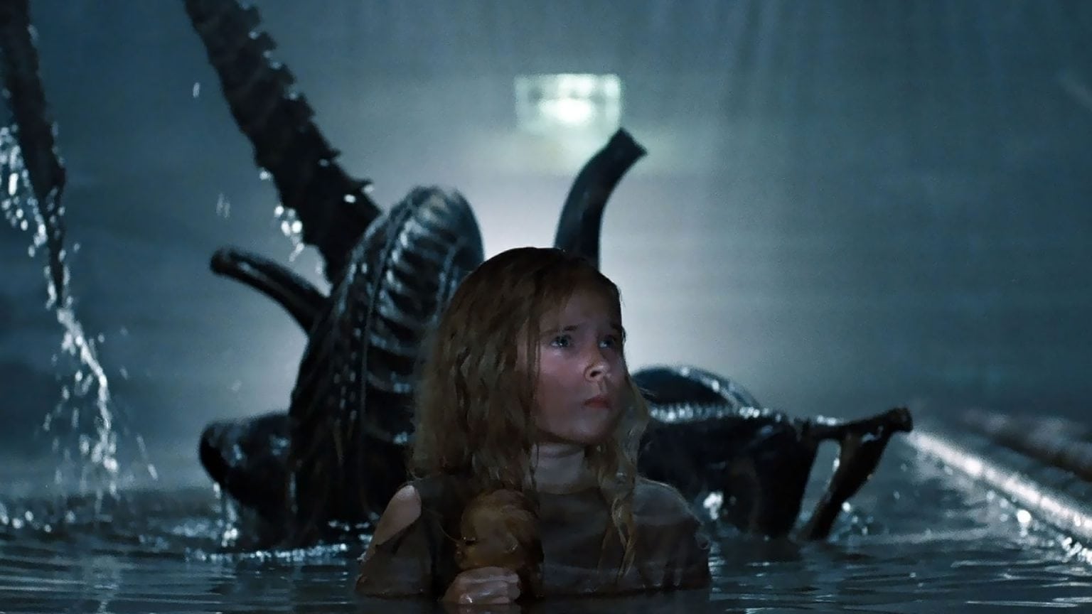 Die 7 beliebtesten Harry Potter-Szenen die wir Fans lieben - CineThursday